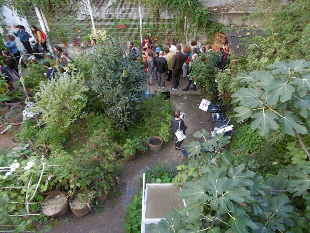 Balade naturaliste dans les jardins partagés du 18e - Balades aux jardins